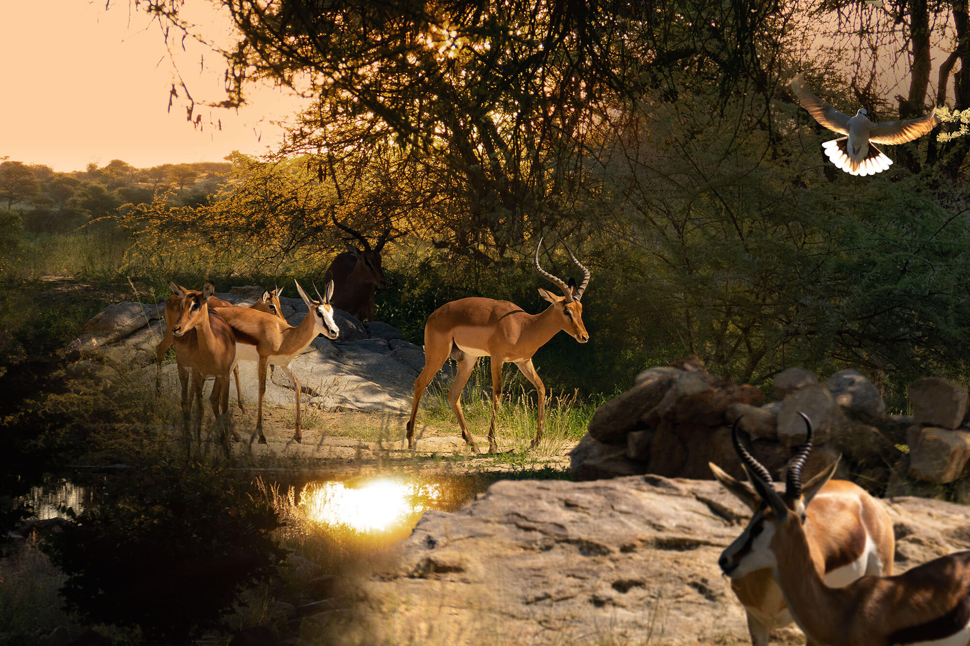 Namibia in Grün | PASSION Magazin